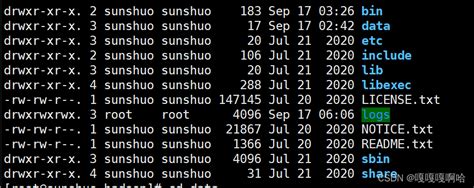 关于hadoop的Cannot set priority of datanode process CSDN博客