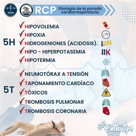 Entha Ltda On Instagram 🖐️la Regla De Las 5h Y Las 5t Es Un Recurso Mnemotécnico Utilizado
