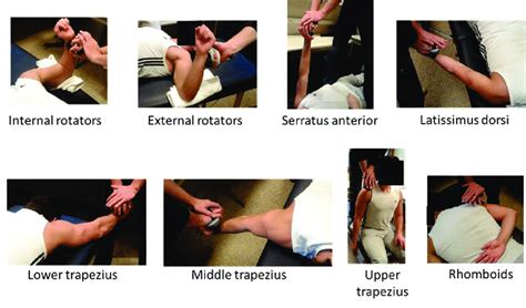 Photos Of The Shoulder Muscle Strength Evaluation Download Scientific Diagram