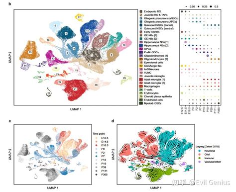 单细胞轨迹分析之应用篇 知乎