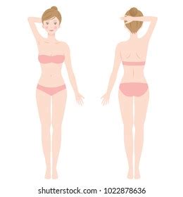 Front Back View Standing Female Nude Stock Vector Royalty Free