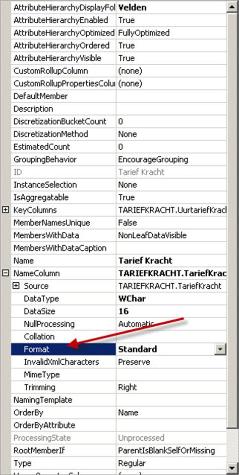ssas how to format a dimension attribute sqlblog nederland