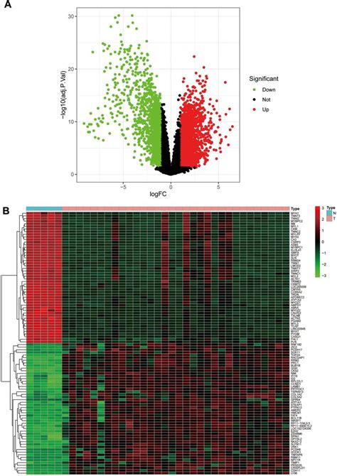 The Volcano Plot And Heat Map Of Differentially Expressed Genes A Download Scientific
