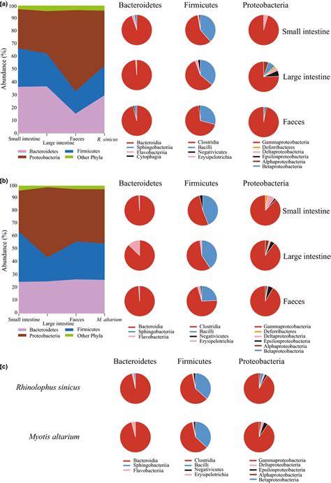 Bacteria community composition and relative abundance at the phyla and... | Download Scientific ...