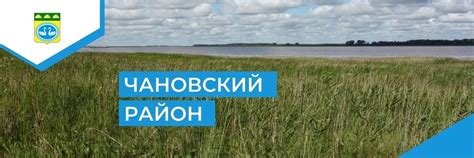 Администрация Чановского района | Добро пожаловать в официальную группу ...