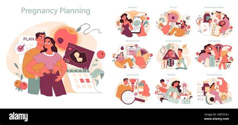 Pregnancy Planning Set Couples Explore Fertility Ovulation