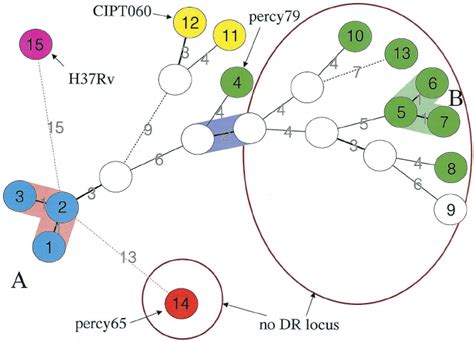 minimum spanning tree analysis and comparison with the other