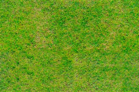 Premium Photo Grass Seamless Pattern Material Mapping For