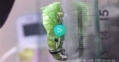 2022 1028 he has no face yet album on imgur