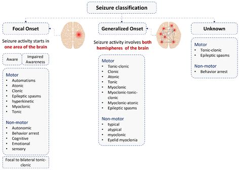 Bioengineering Free Full Text Wearable Electromyography Classification Of Epileptic Seizures