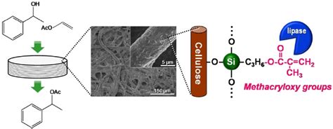 Schematic Diagram Of The Continuous Flow Enzymatic Reaction Using Download Scientific Diagram