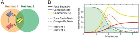 The Evolution Of Spectrum In Antibiotics And Bacteriocins Pnas
