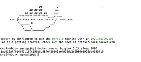 understand the docker container commands dockers understanding