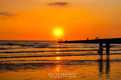 영종도 여행 숨은 명소와 함께하는 특별한 하루 네이트뷰