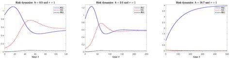 A Dynamical Model With Time Delay For Risk Contagion