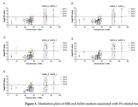 manhattan plots of ssr and indel markers associated with pa related
