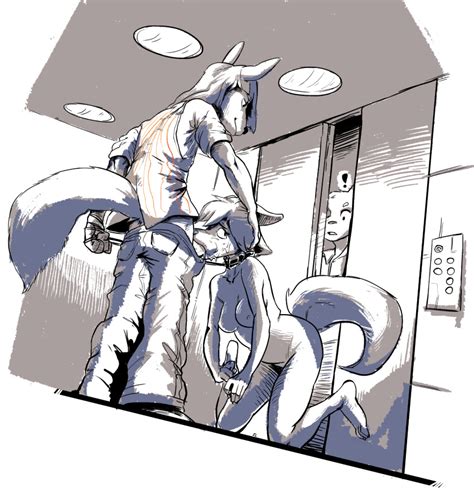 Rule 34 Anthro Apis Arctic Fox Canine Collar Corsac Fox Domination