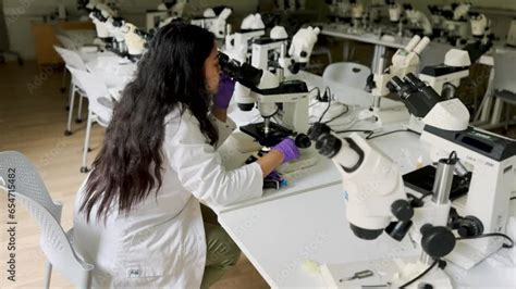 Biomedical Science Laboratory Portrait Of Beautiful Scientist Looking