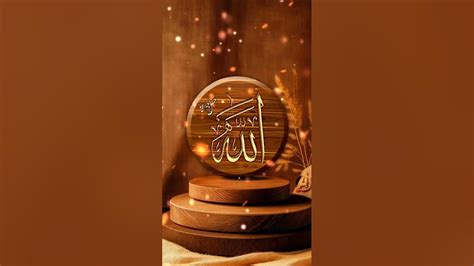 Sameer Qureshi Youtube