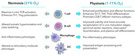 Immune Cells In Their Element The Critical Role Of Physiological