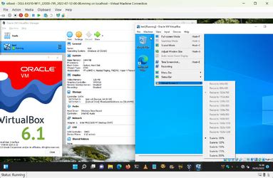 Virtualbox And Vm Screen Resolution Windows Forum