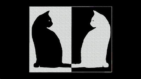 რა არის შავი და თეთრი მაგია Youtube