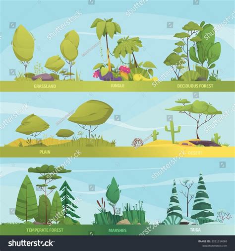 Ecosystem Types Cartoon Banner Set Temperate Stock Vector Royalty Free 2261314065 Shutterstock