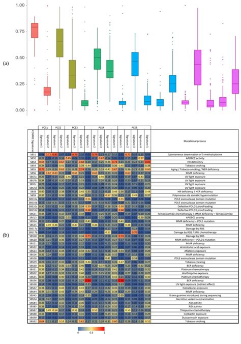 Signature Analysis A Exposure Of Samples To Signatures Exposure Of Download Scientific