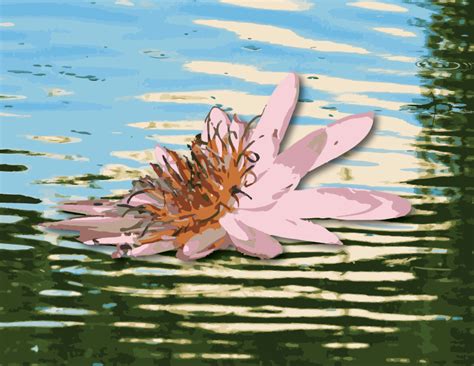 Thai Girl Pussy Porn Sex Pictures Pass