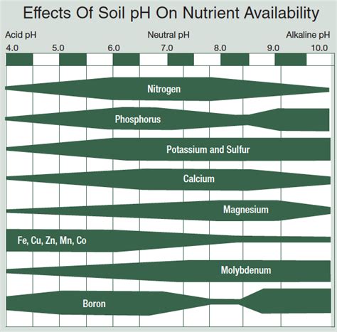 Soil Ph Nutrient Availability Chart