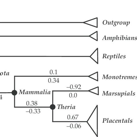 1 Programs For Codon Based Ancestral Reconstruction Download Table