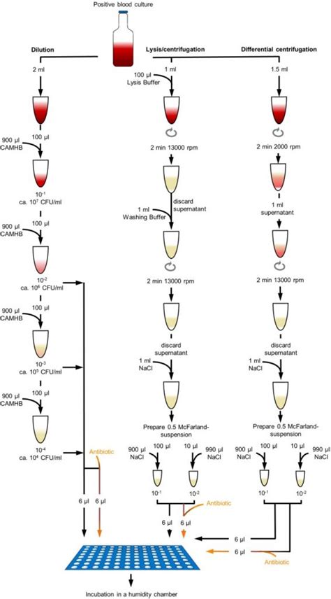 Detection Of Methicillin Resistance In Staphylococcus Aureus From Agar Cultures And Directly