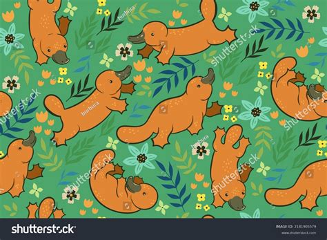 Cute Platypus Wallpaper