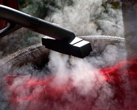 How To Get Rid Of Fleas Inside The House 5 Ways To Stop Them Homes And Gardens