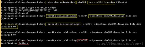 Openssl 命令详解（二）——摘要算法、签名、验签openssl Whirlpool Csdn博客