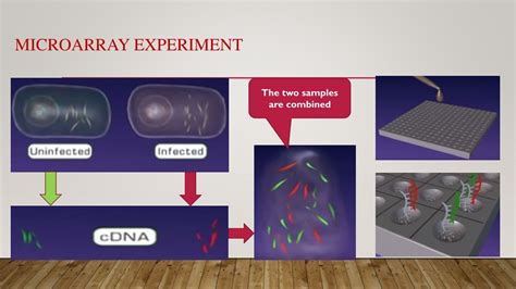 Ppt Microarray Gene Expression Analysis Powerpoint Presentation Free