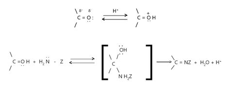 Nucleophilic Addition Reaction Geeksforgeeks