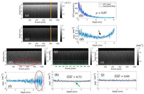optical attenuation coefficient optimization algorithm for deep tissue