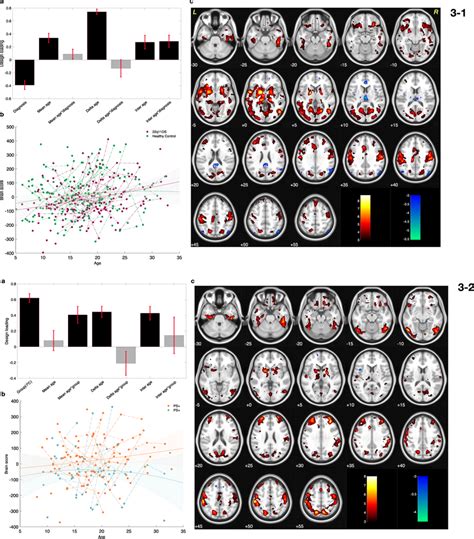 Results Of Partial Lease Squares Correlation For Superficial Amygdala
