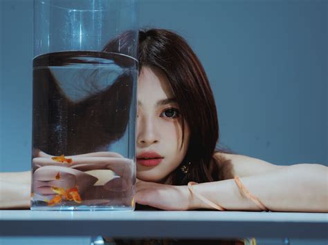 걱정 없는 고요한 관념적인 구성 금붕어 눈길을 끄는 무드 조명 묵상 물 물고기 미니멀리스트 반사 반사된 사람 상상력 수생 수조 수족관 수중