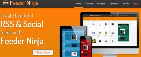 Raspberry Ketone And Diet Pills Reviews