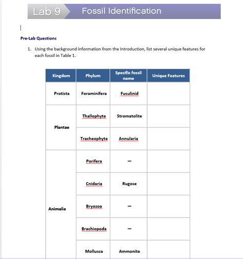 Solved Lab 9 Fossil Identification Pre Lab Questions 1