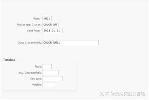 Sap Qm Qs21创建检验特性，报错 No Selected Set Is Assigned To The Class Characteristic 知乎