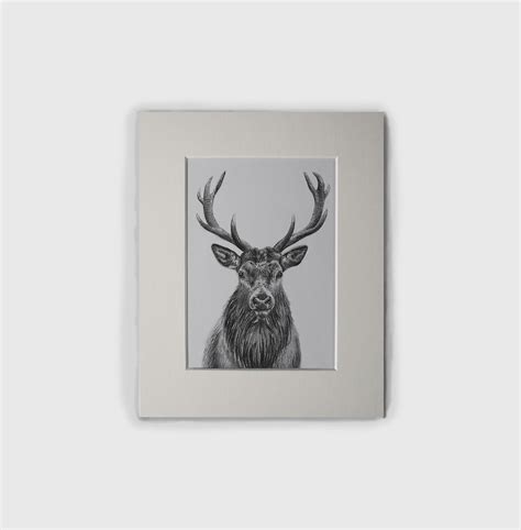 Stag Mini Print Variorum
