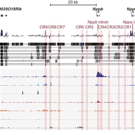 Mammalian Evolutionarily Conserved Regions And Chip Seq Data Download Scientific Diagram