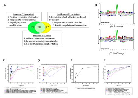 Ms Analysis Of Tyrosine Phosphorylated Peptides In Egf Treated Cells