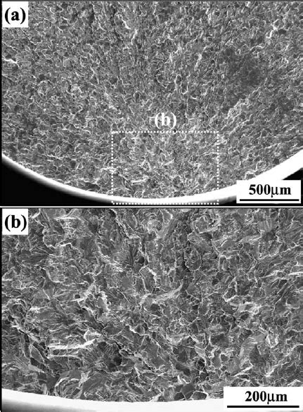 Sem Micrographs Of Fracture Surface A Fatigue Crack Initiation Site