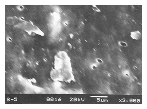 Scanning Electron Micrographs Showing The Various Stages Of Experiments