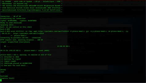 Linux Cybersecurity Kalilinux Penetrationtesting Metasploit Redteam Rabius Sany