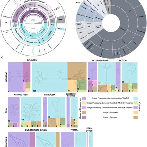 figure publication prevalence of image processing across microscopy